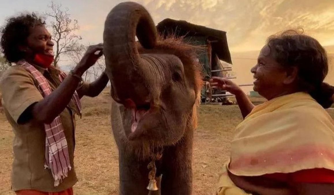 The Elephant Whisperers: Oscar-Winner Celebrates Bond Between Humans ...