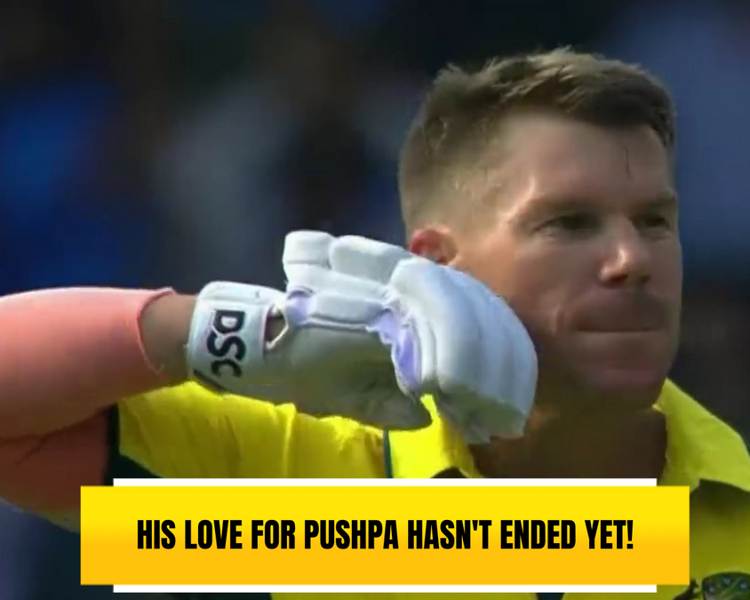 WATCH: David Warner imitates Pushpa celebration after getting ODI World ...