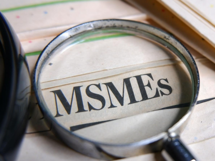 Regulatory Reforms Key to MSME Growth, Economic Survey Highlights