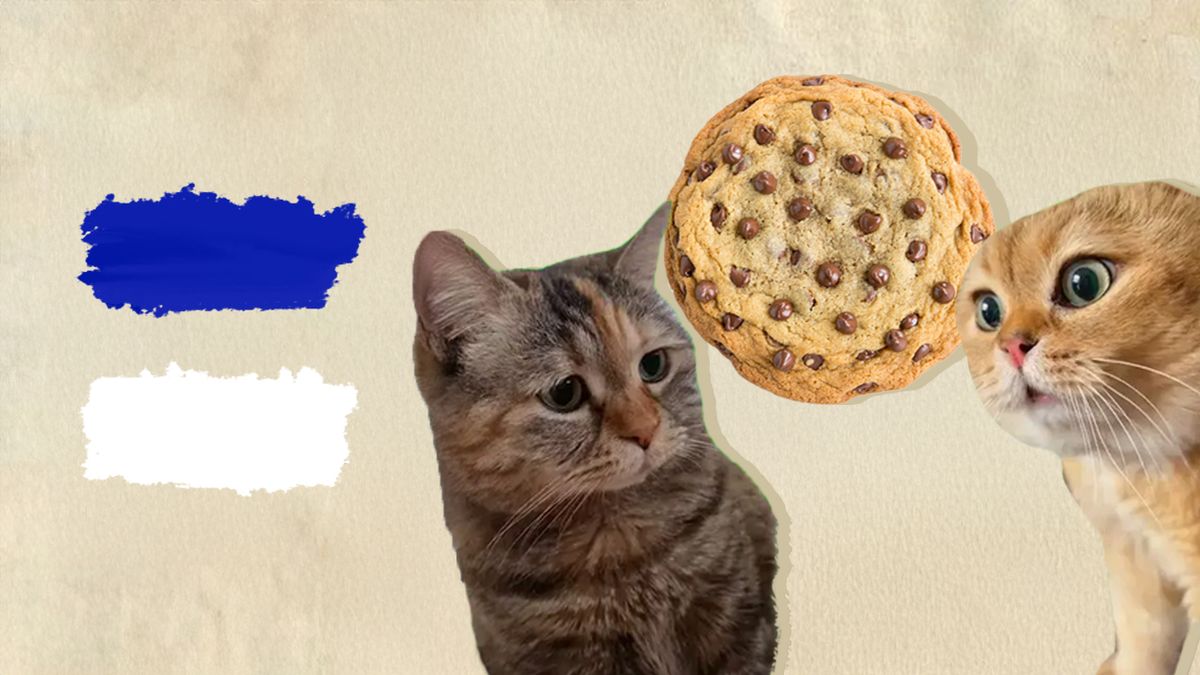 Crumble Pakistan’s Instagram feels chaotic, and it totally works