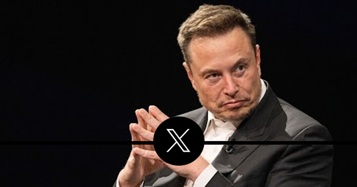 Elon Musk's X (Twitter) shuts down follower growth ad business Elon Musk's X (Twitter) shuts down follower growth ad business