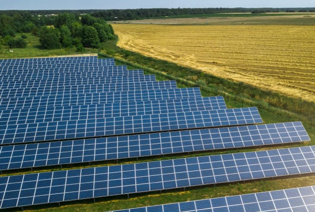 Solar Simplified partners with Cipriani in US solar expansion