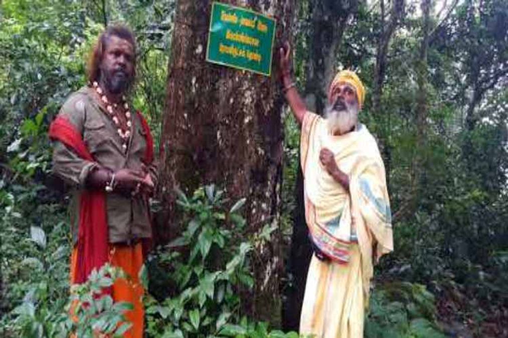 கொல்லிமலையில் காக்கப்படும் இரகசியம்......