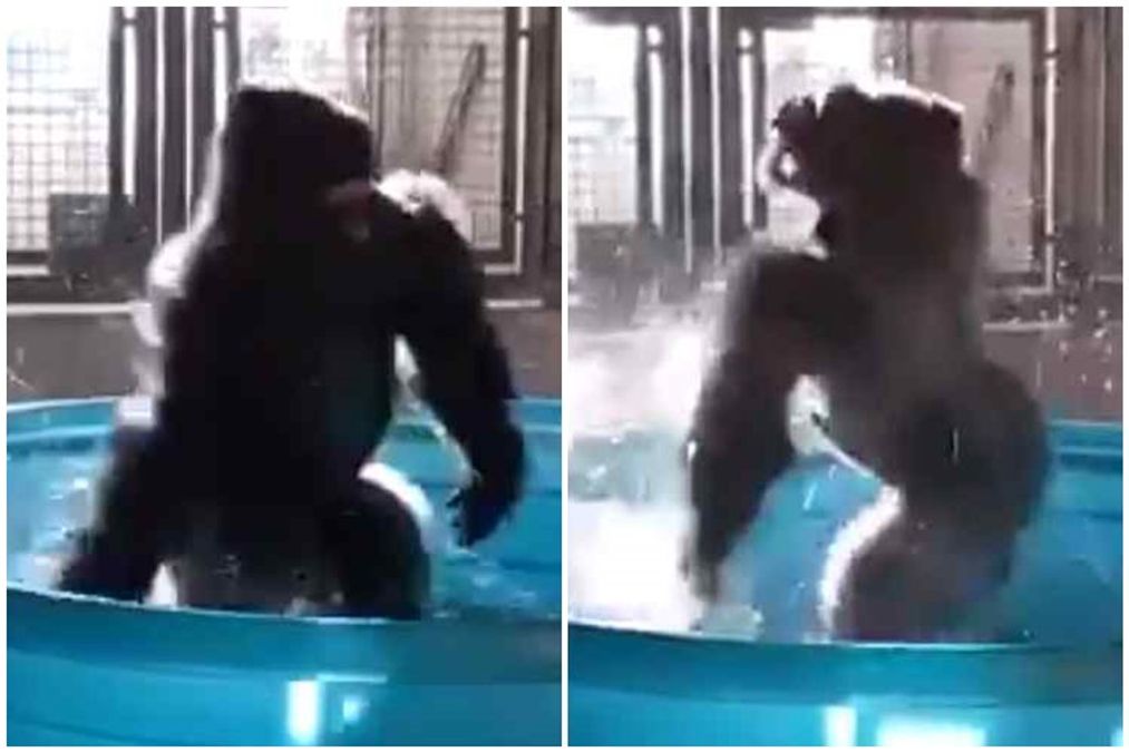 குளியல் டான்ஸ்: என்னா வேகமா சுத்துறாங்கப்பா!