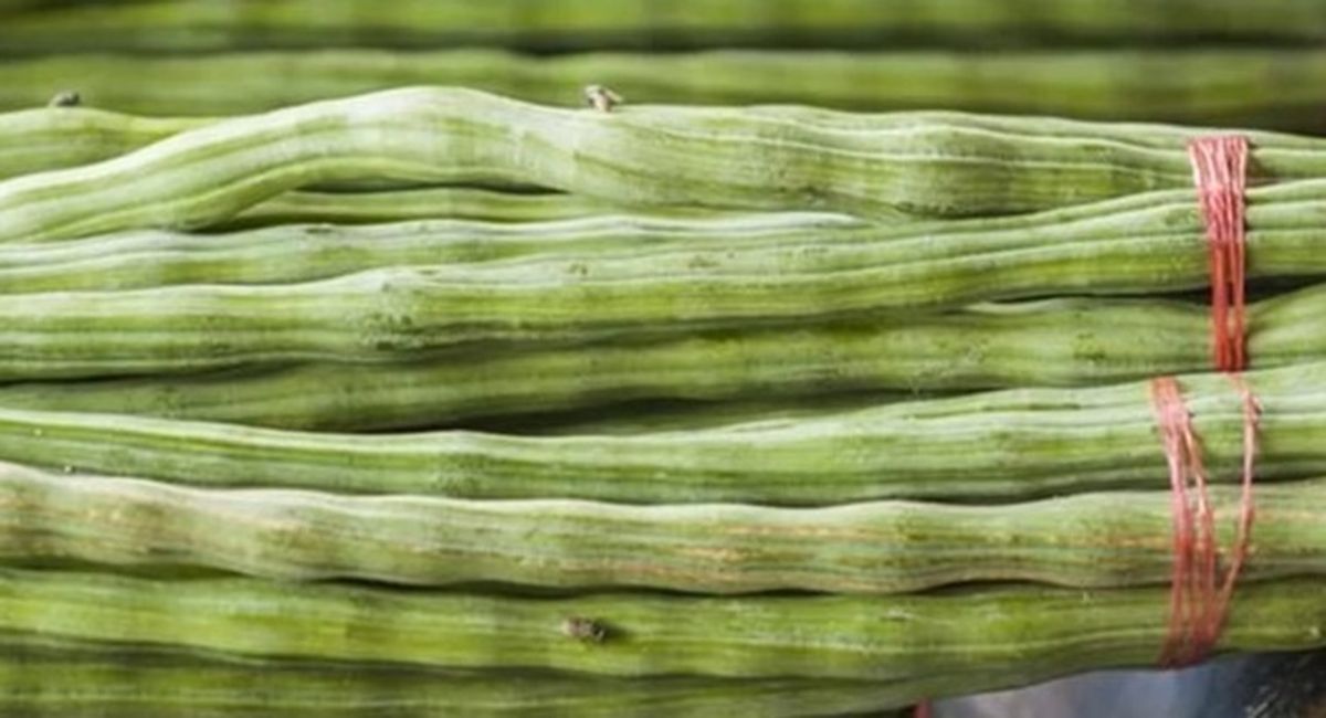 இரும்புச் சத்து... இம்யூனிட்டி... முருங்கைக்காய்: இப்படிச் செய்து ...