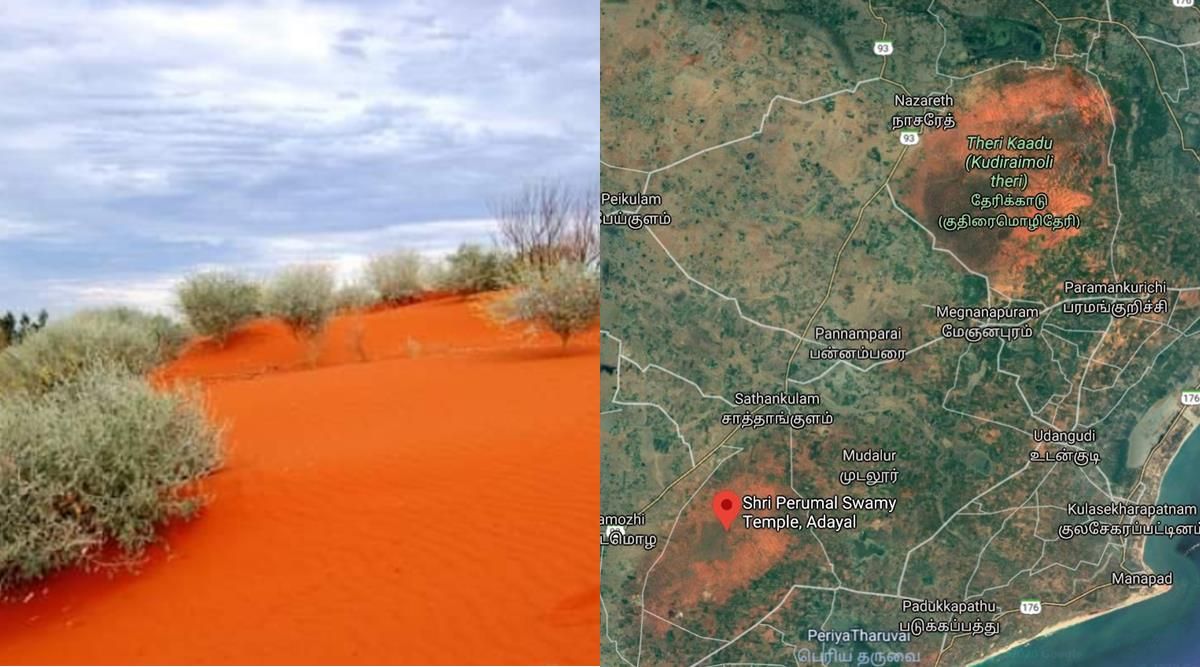 சிங்கம் படத்தில் பார்த்த தேரிக்காடு: இதன் மகத்துவம் தெரியுமா?