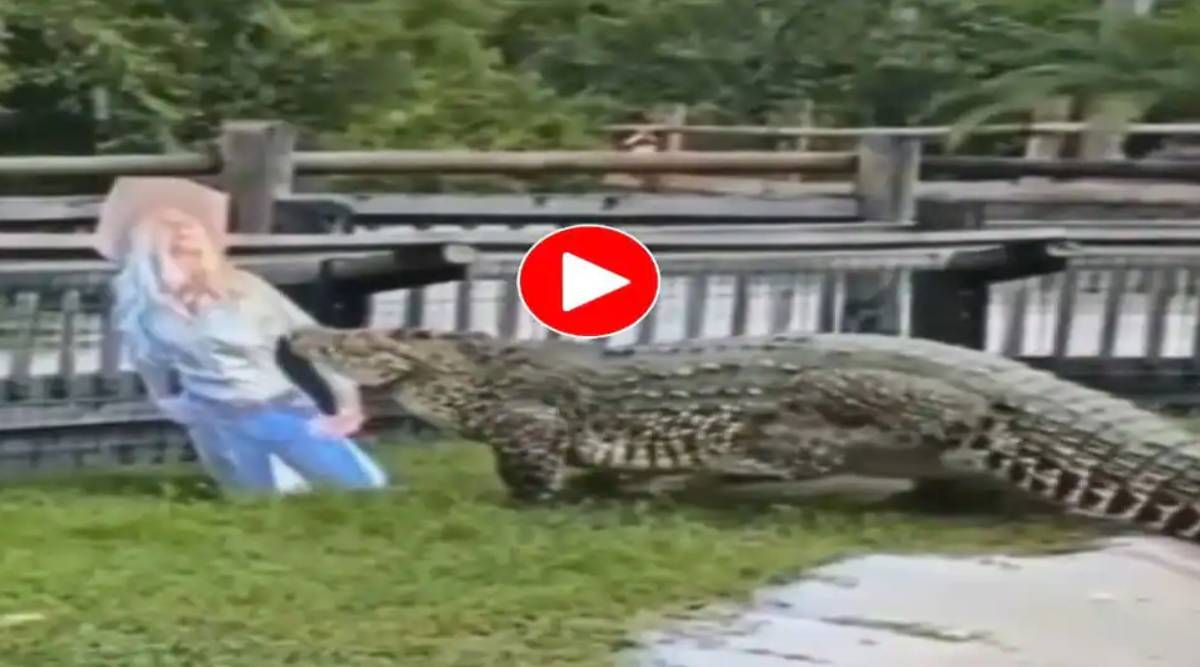 பெண் என நினைத்து… பாய்ந்து கவ்விய முதலை: அப்புறம்தான் ட்விஸ்ட்!