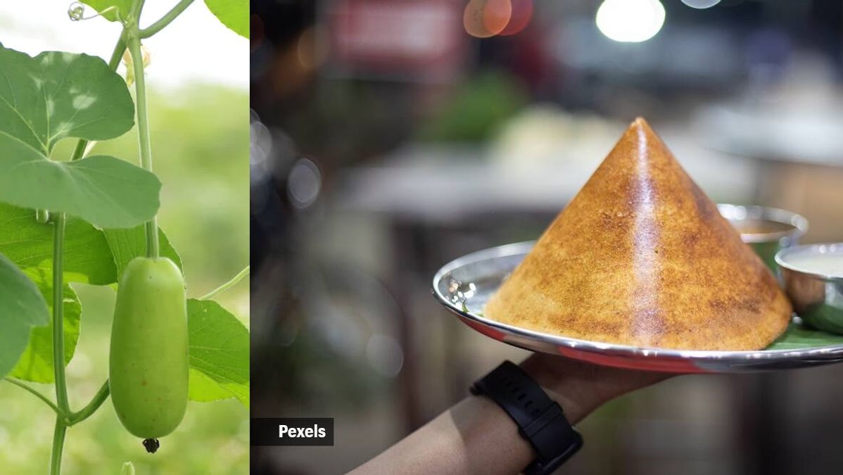 ரத்த சர்க்கரை அளவை கட்டுக்குள் வைக்கும்.. சுரைக்காய் தோசை ரெசிபி