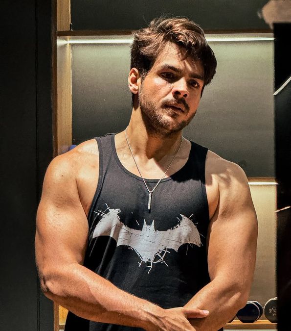 Ashish Chanchlani: Journey, Education, Career, and Net Worth of the ...