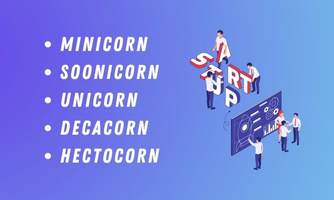What are the titles like Minicorn, Soonicorn, Unicorn, Decacorn & Hectocorn