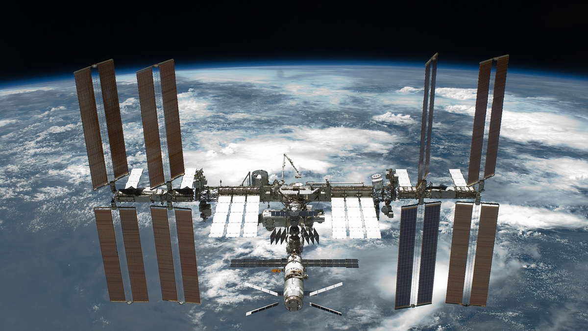 More microbes could help improve human health in space, research ...