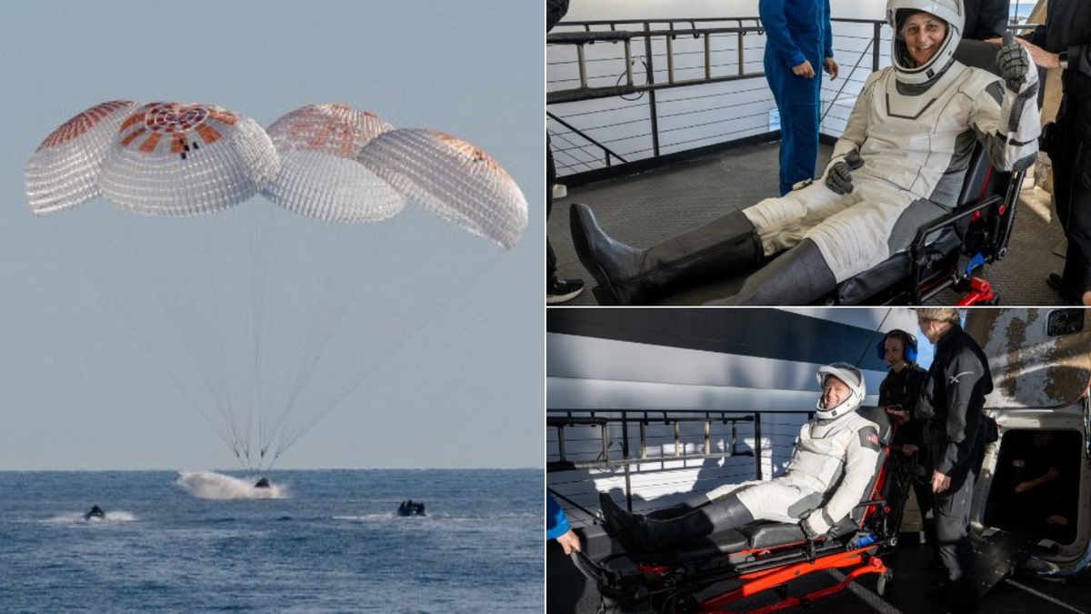 WATCH: First images of Sunita Williams, Butch Wilmore back on Earth ...