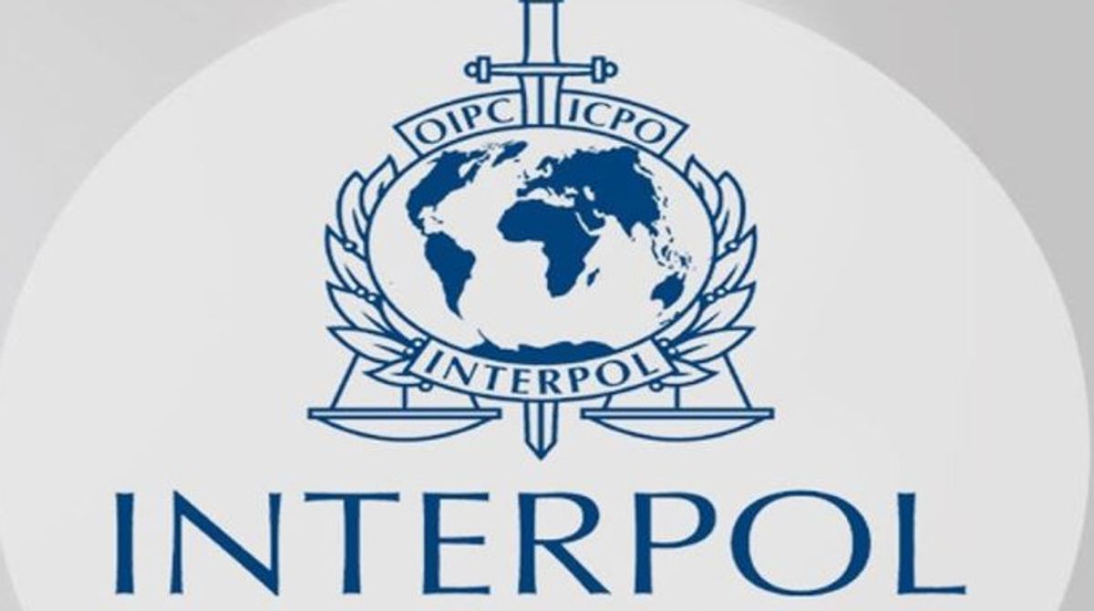 Interpol seizes 500 tonnes of illicit drugs in worldwide raids