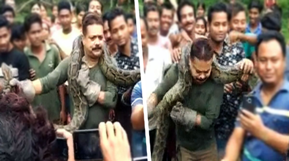 Narrow escape for range officer after python strangles him