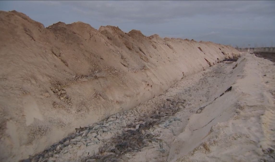 Back from dead? Zombie minks rise from graves to 'exact revenge' after ...