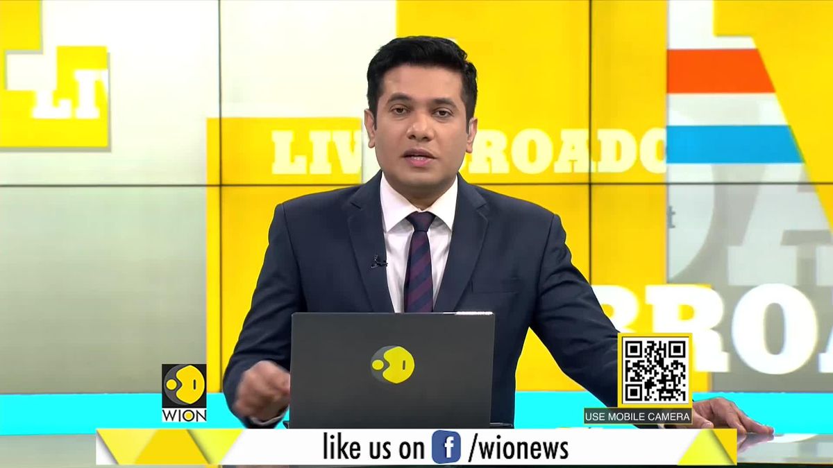 Japanese sea slugs regrow new hearts and bodies