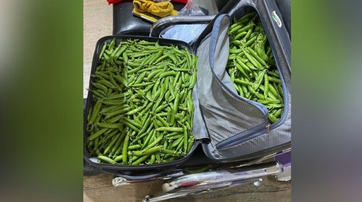 Peas-full journey? Indian airport security stops IPS officer. Hereâ s ...