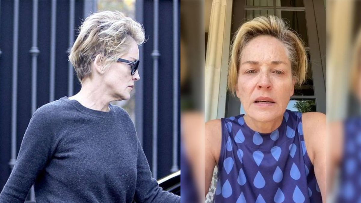 Sharon Stone 'lost 9 kids' due to miscarriages, pens powerful note ...