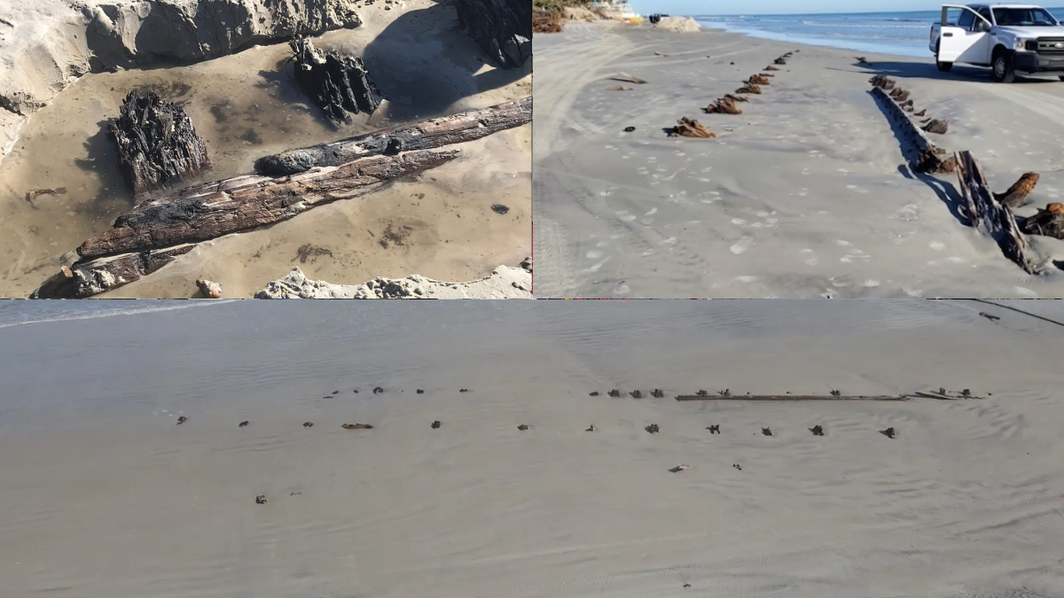 Florida beach chucks up a weird 80 feet object, what it is remains 'a ...