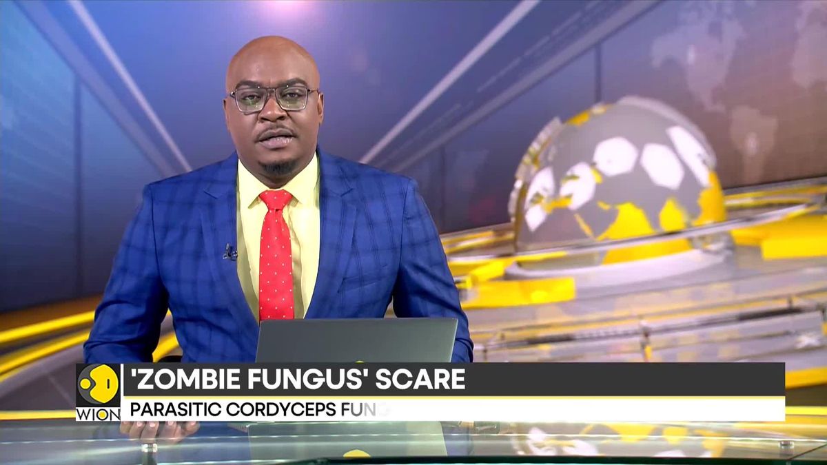 Zombie Fungus: Fungal pandemic can turn humans into zombies?