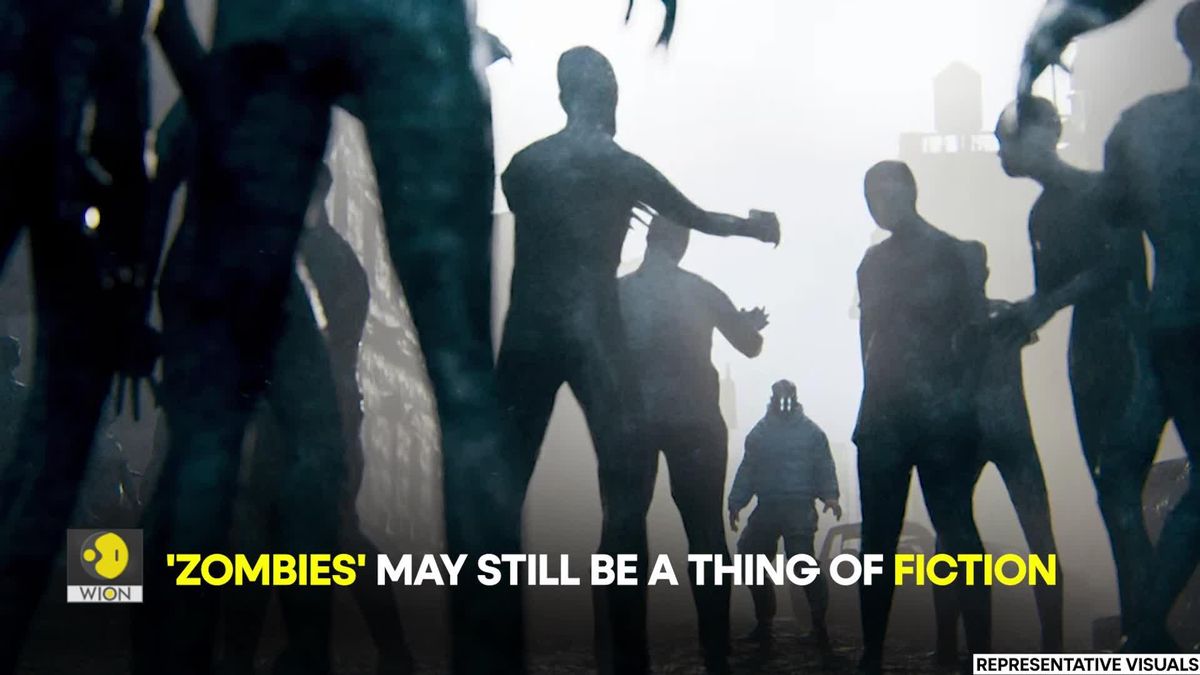 Parasitic fungus that infects and kills spiders like ZOMBIE discovered ...