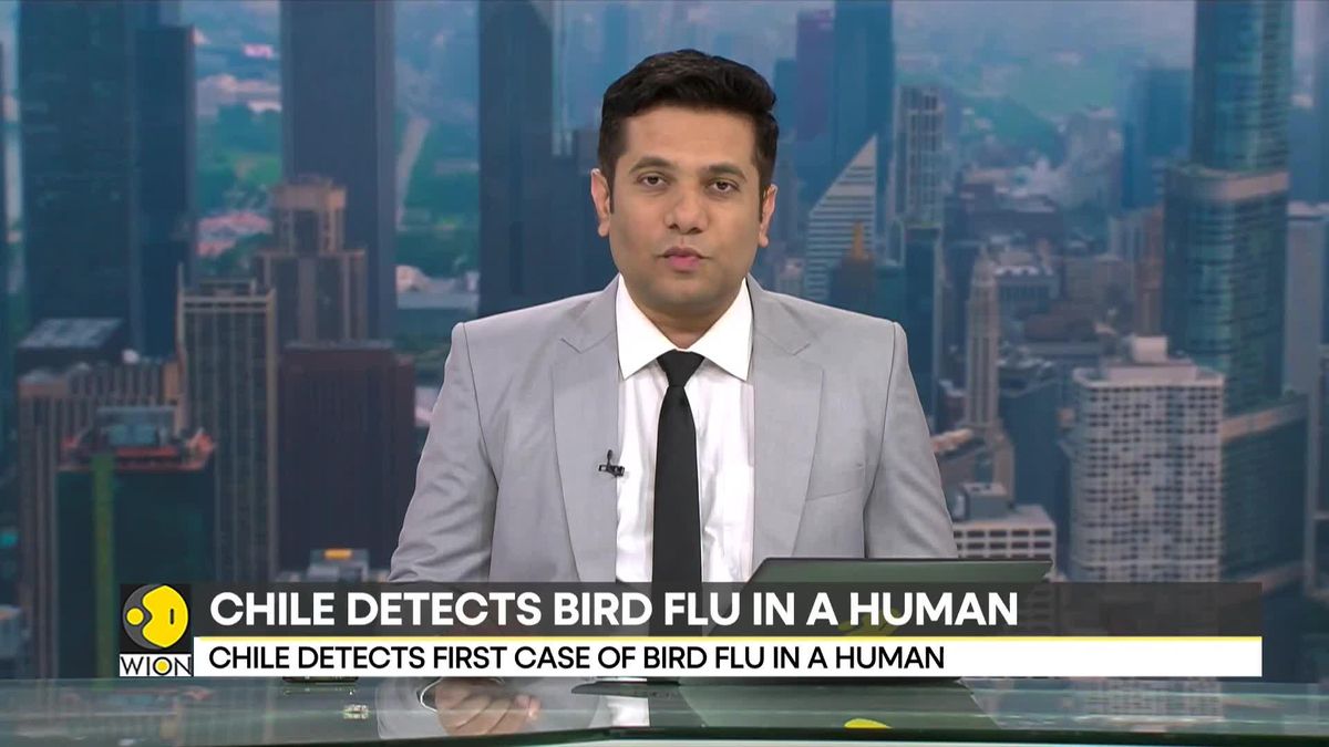 Chile detects bird flu in a 53-year-old man; Why is this matter of concern?