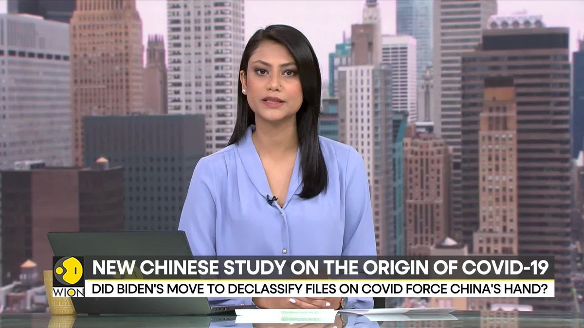 Chinese Government scientists claim infamous Wuhan market may NOT be ...