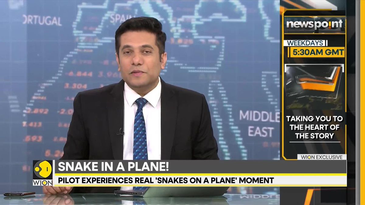 Pilot shares 'snakes on a plane' moment