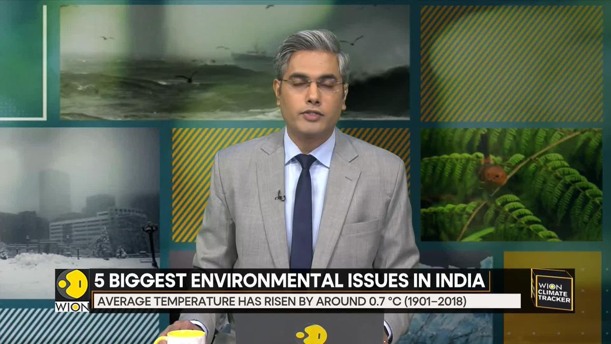 Five biggest environmental issues in India in 2023