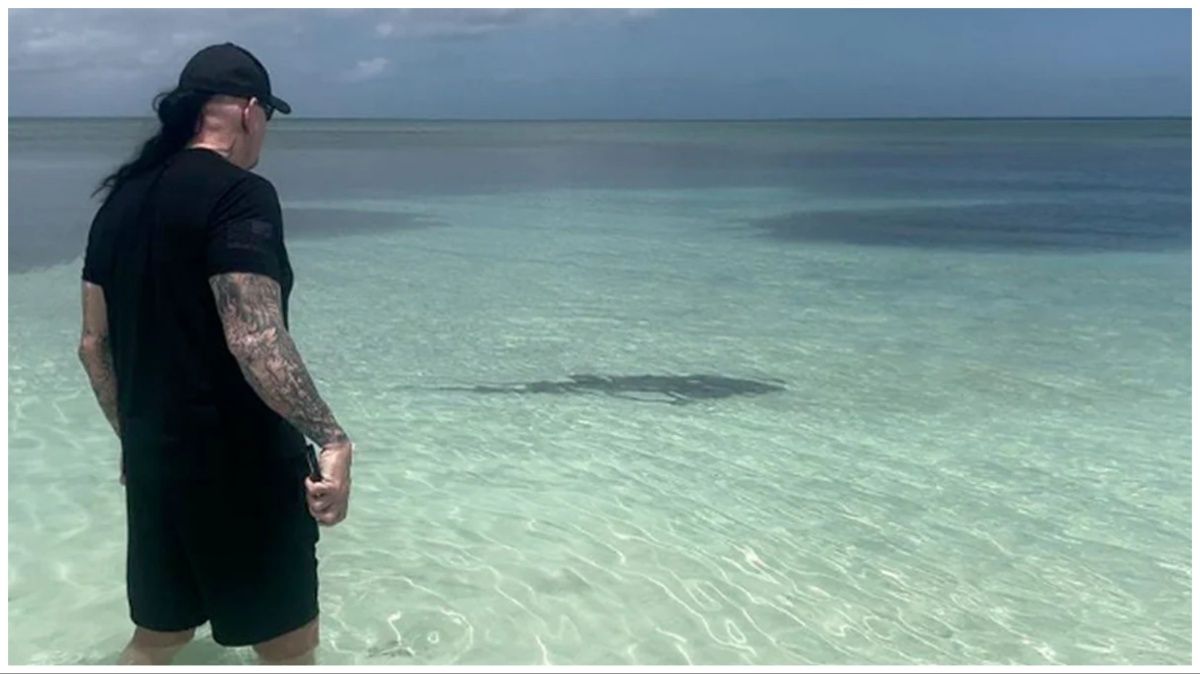 WWE legend The Undertaker saves wife from potential shark attack, video ...