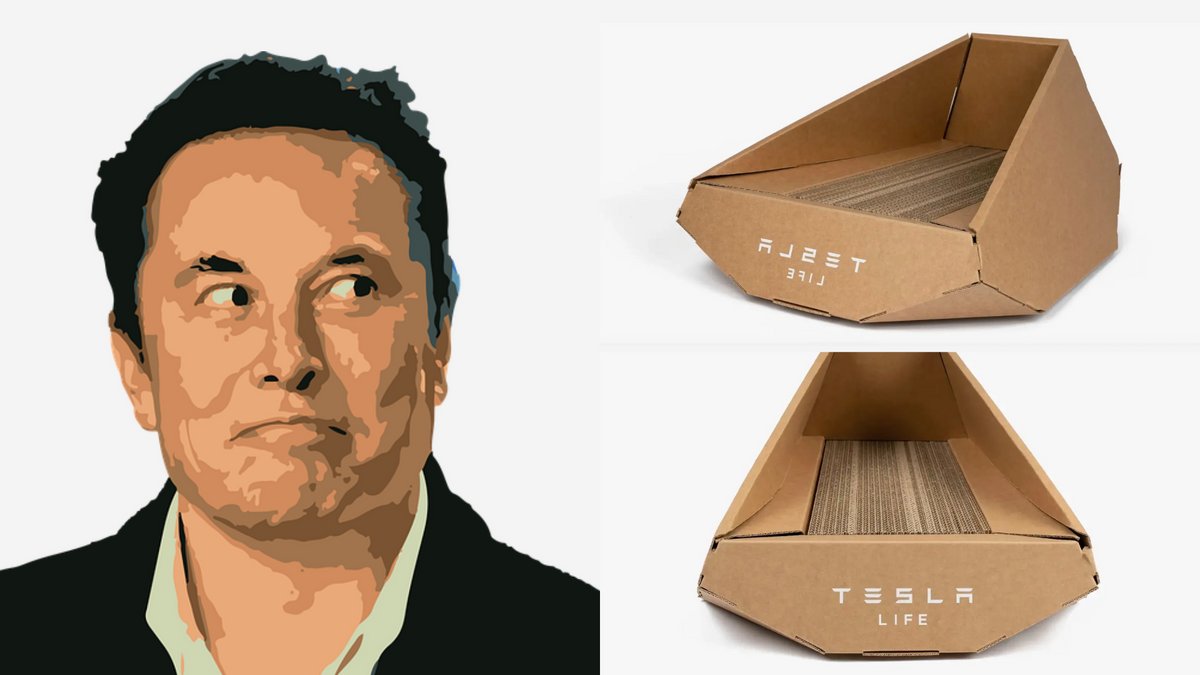 Tesla's 'purr'fect twist: Musk's company rolls out cardboard ...