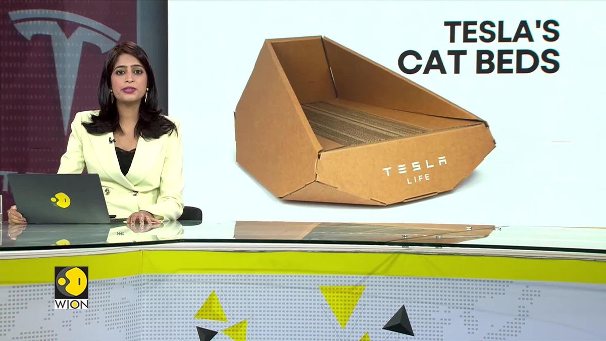 Gravitas: Tesla is selling Cybertruck-themed cat beds in China