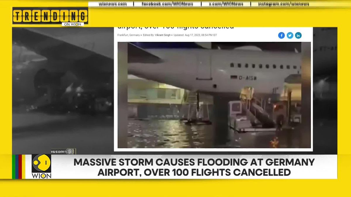 Indigo pilot collapses and dies at boarding gate