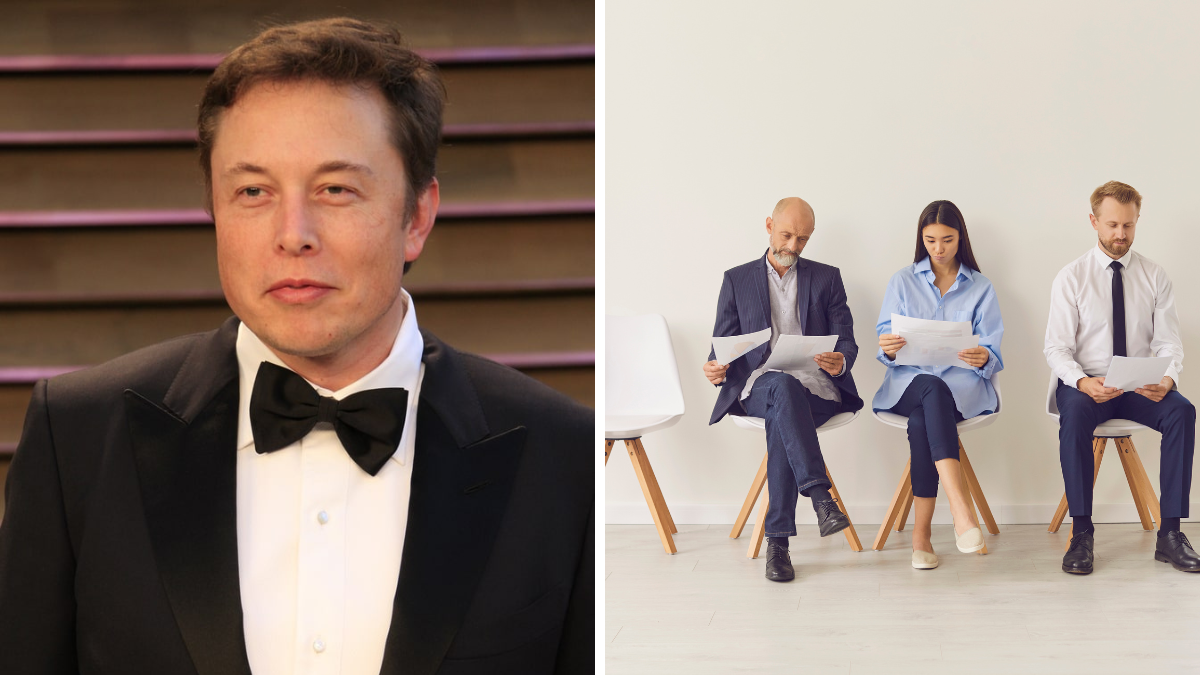 Elon Musk's X introduces 'new job hiring feature' for verified ...