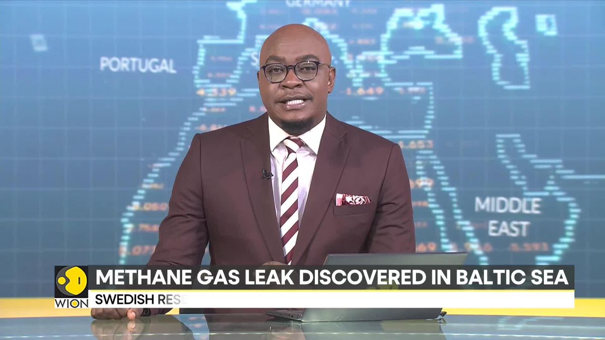 Extensive methane gas leakage from the deepest seabed of the Baltic Sea ...