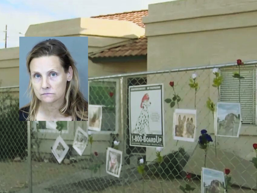 5 dead puppies in Arizonian woman's freezer: 'Nothing wrong with ...