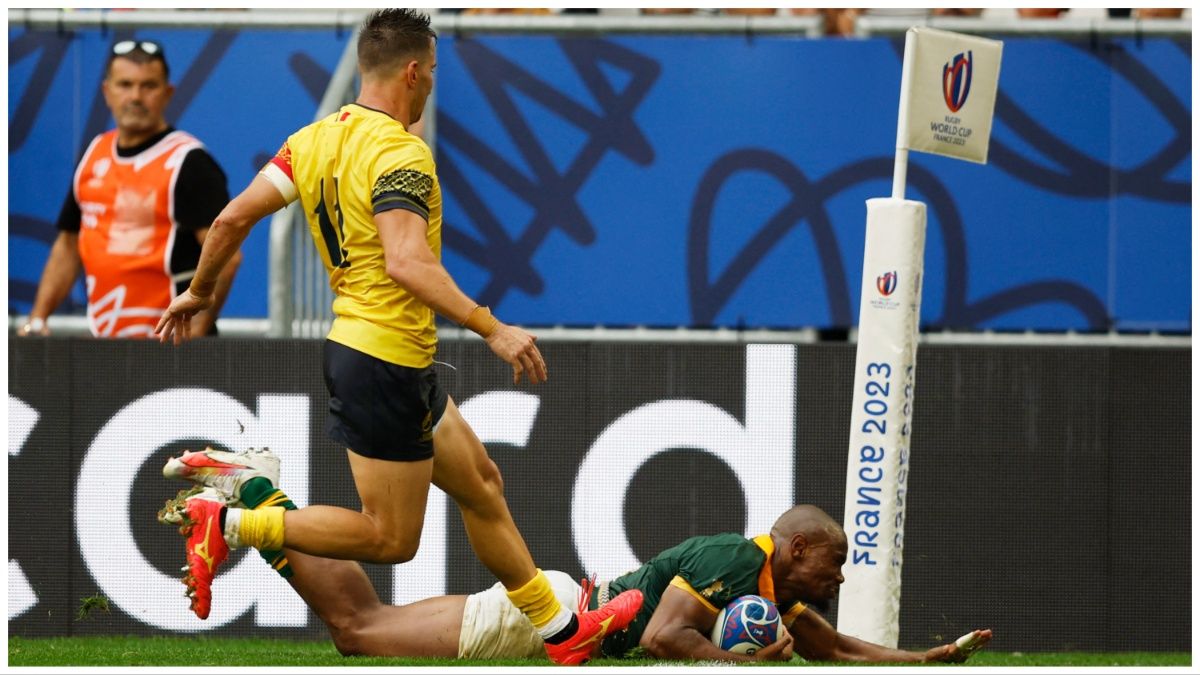 Rugby World Cup 2023: South Africa wing Makazole Mapimpi ruled out with a fractured eye socket