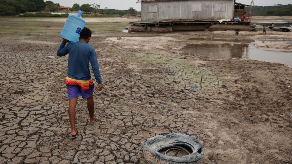 Amazon river falls to lowest level in over a century amid Brazil ...