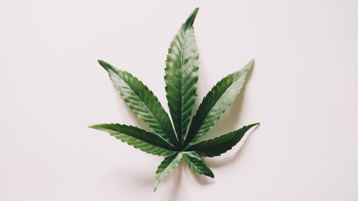 9 health problems cannabis medicine can help alleviate