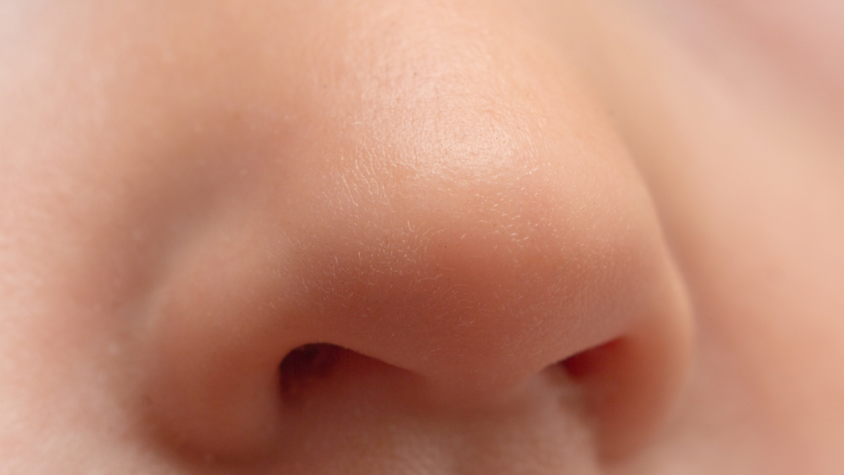 Scientists explain why humans have two nostrils and not just one