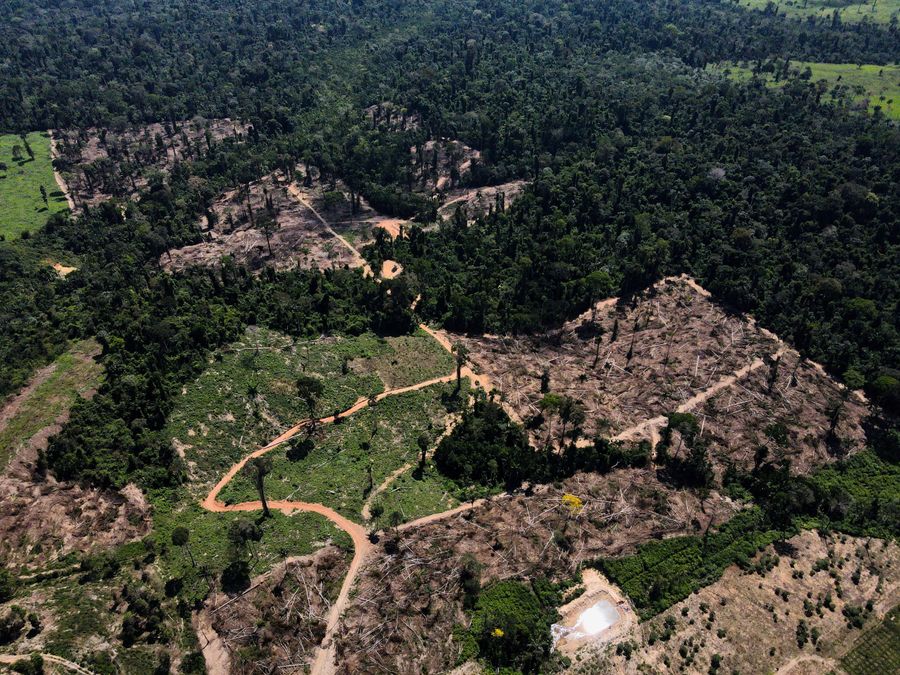Brazil approves $65 million Amazon fund to combat rainforest crimes