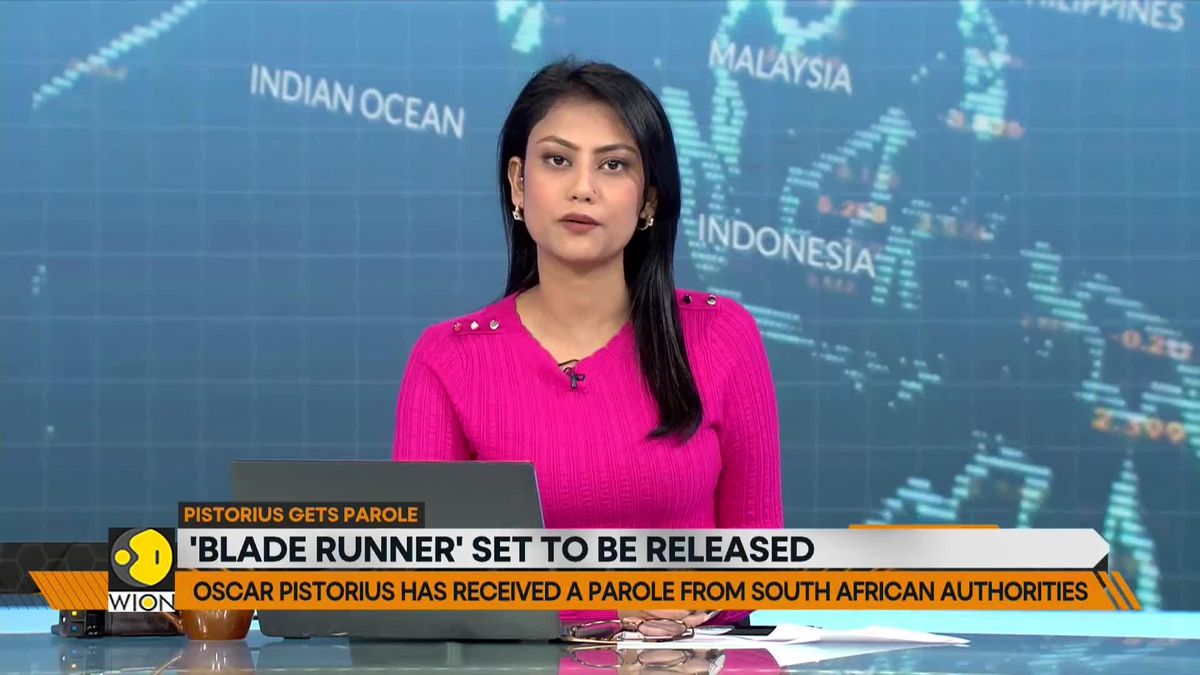 Oscar Pistorius set to be released in January after being sentenced to ...