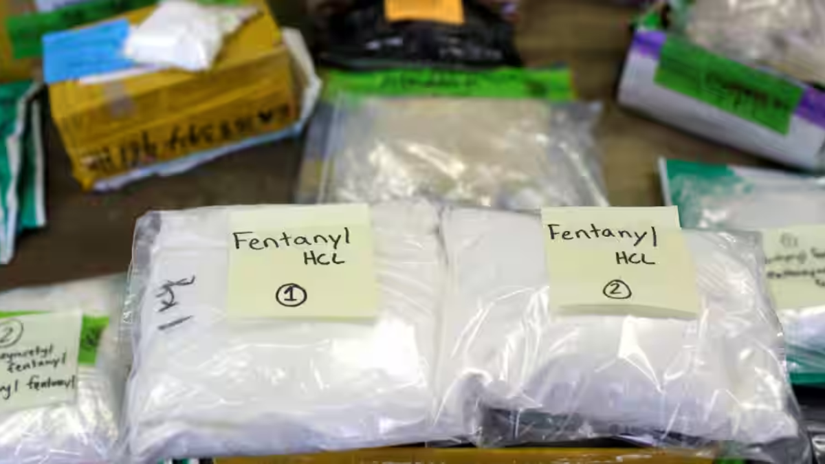 Cleft palate, fused toes: Fentanyl likely causing certain birth defects ...