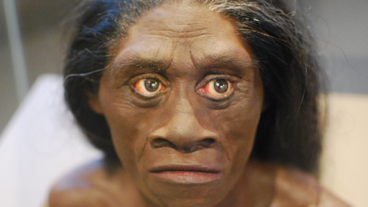 Scientists try to get molecules from extinct humans to discover new ...