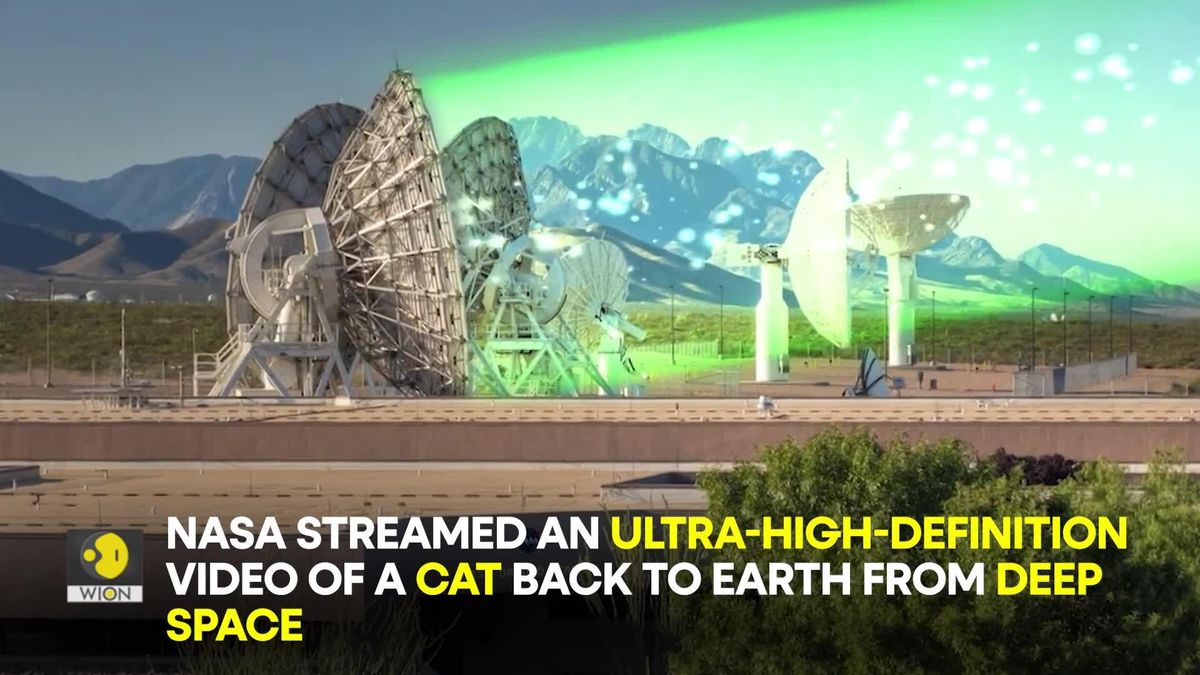 NASA streams an ultra-high-definition video of a cat back to Earth from deep space