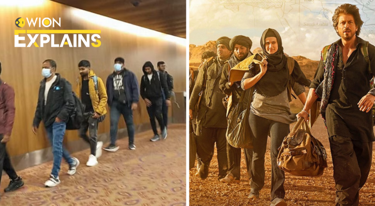 Explained | 'Donkey flights': What it means and the modus operandi ...