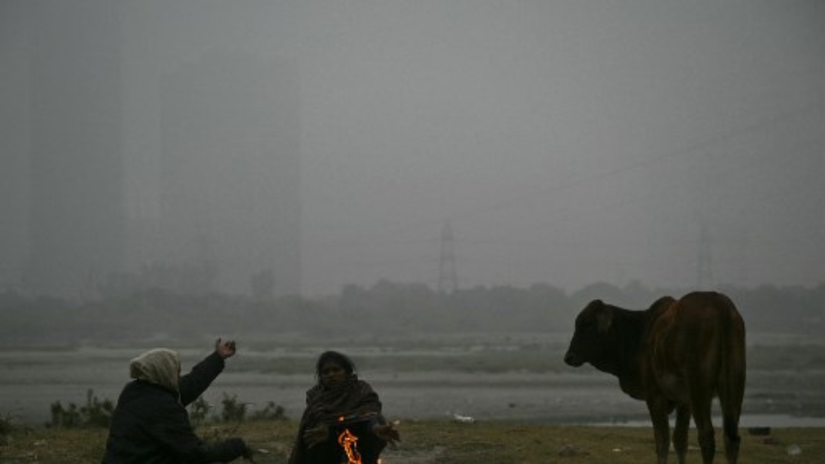 India Weather: Delhi wakes up to a chilly Sunday morning, dense fog engulfs North India; Check ...