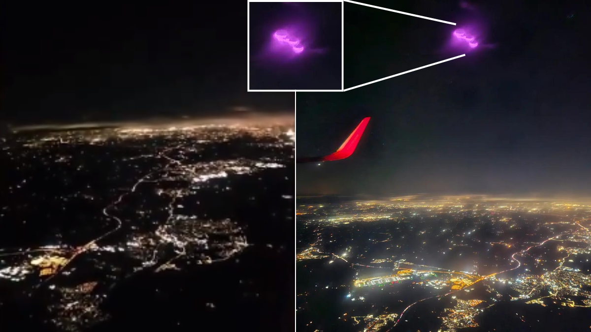 Watch: Hot pink UFO with aliens? Flight attendant claims to have spotted bizarre orbs