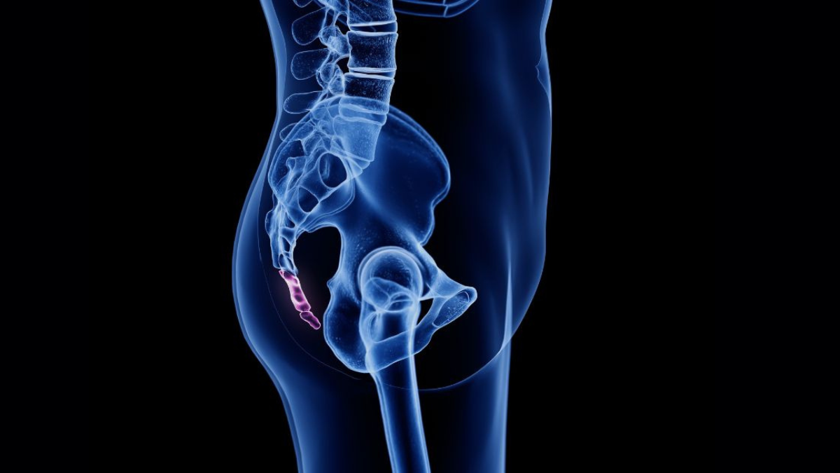 Here's why human tails disappeared 25 million years ago