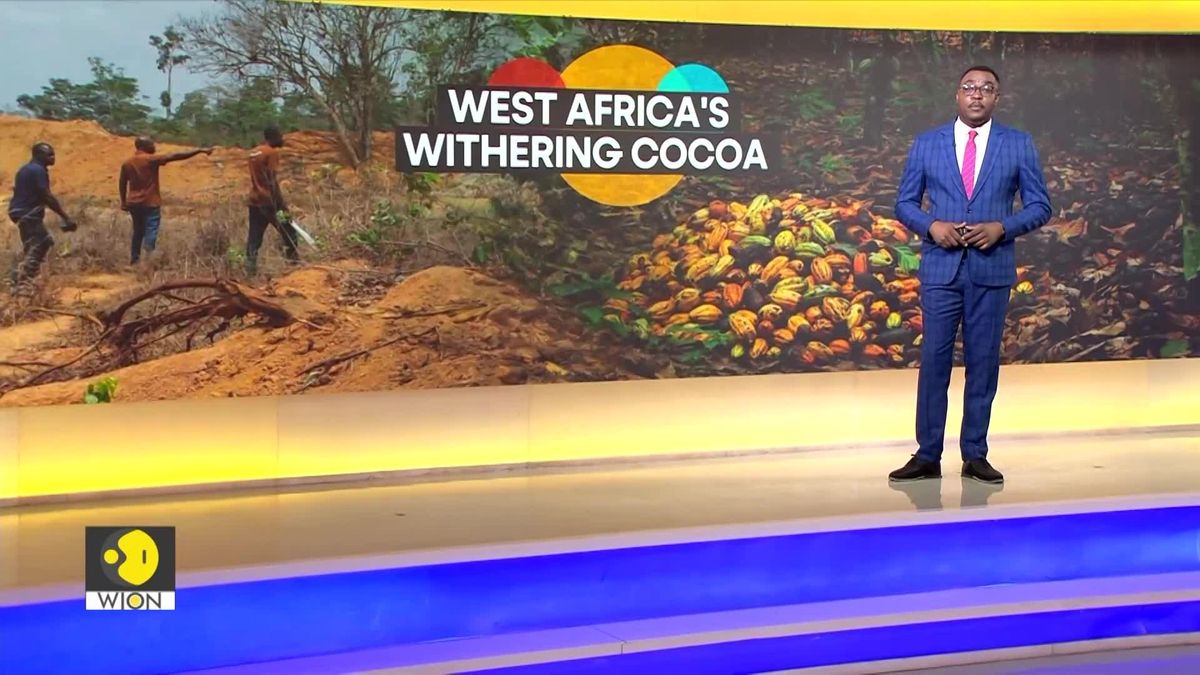 Chocolate prices rises as West Africa’s cocoa crisis deepens